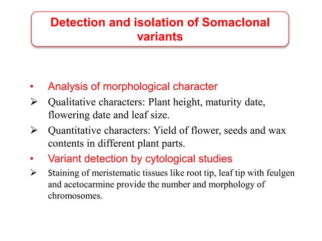 8- Somaclonal variation.pptx
