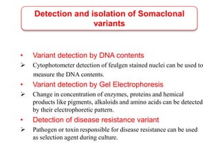 8- Somaclonal variation.pptx