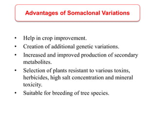 8- Somaclonal variation.pptx