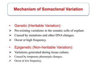 8- Somaclonal variation.pptx