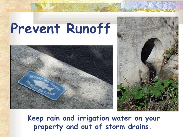 FYN Principle #8 - Reduce Stormwater Runoff