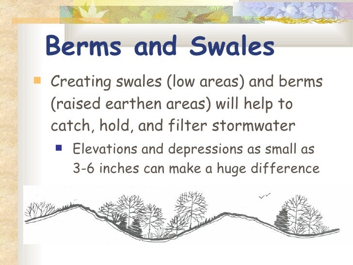 FYN Principle #8 - Reduce Stormwater Runoff