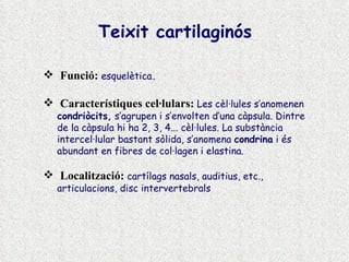 8 Teixit Scorreccio | PPT