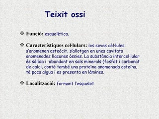 8 Teixit Scorreccio | PPT