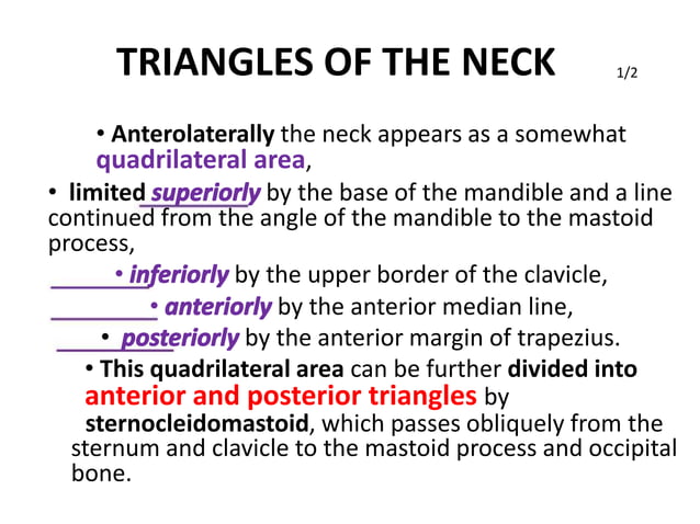 triangles of the neck-dr.meher | PPT