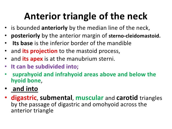 Anterior Triangle Of The Neck Subdivisions Teachmeanatomy