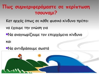 8 tsunami new | PDF