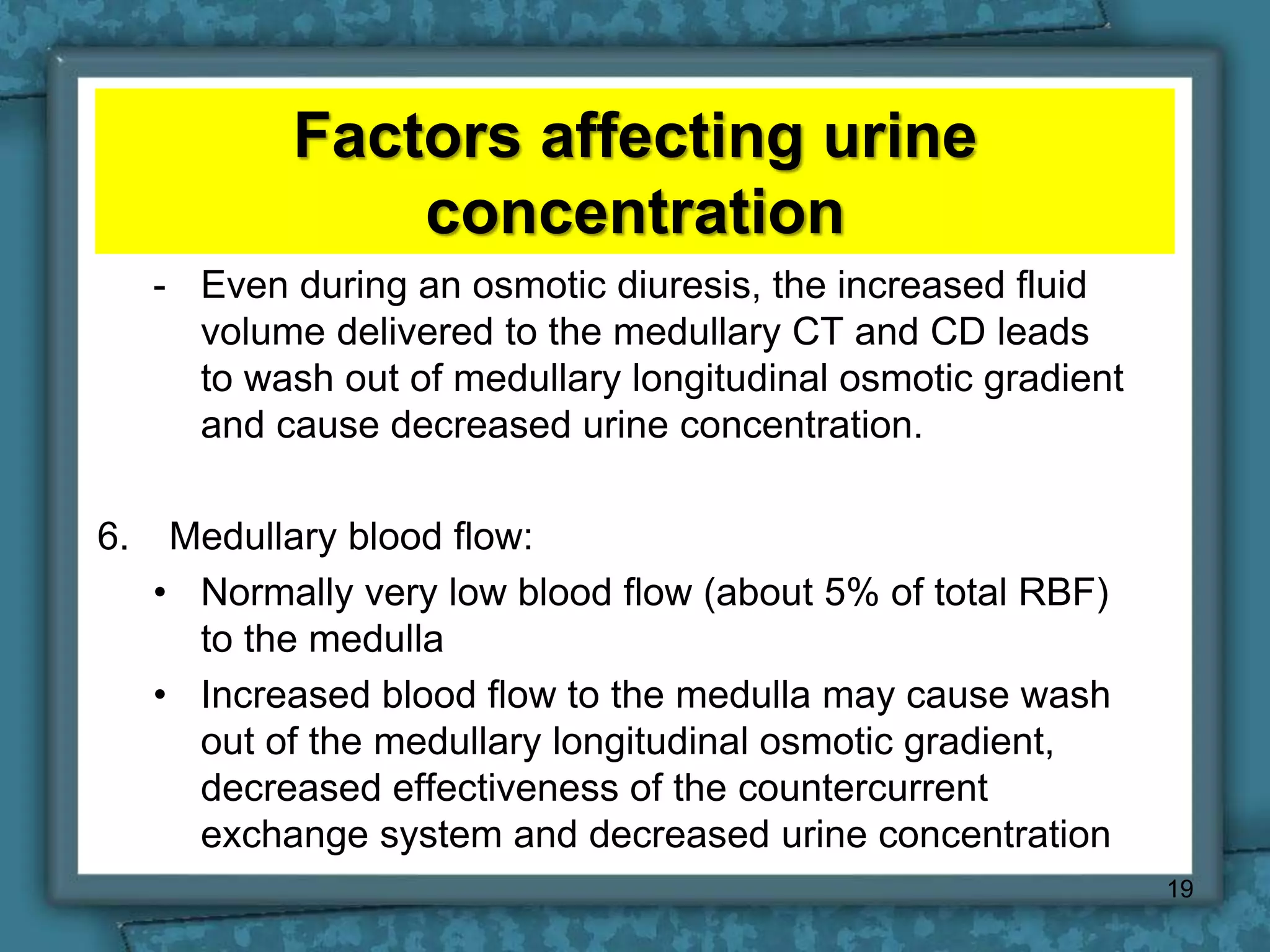 8-Urine concentration and dilution.ppt
