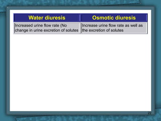8-Urine concentration and dilution.ppt