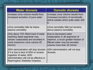 8-Urine concentration and dilution.ppt