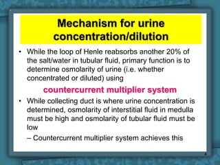 8-Urine concentration and dilution.ppt