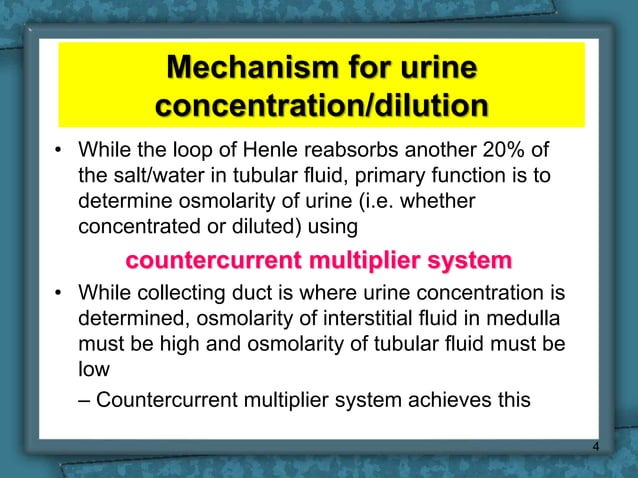8-Urine concentration and dilution.ppt