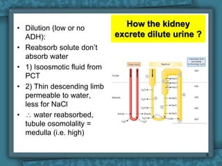8-Urine concentration and dilution.ppt