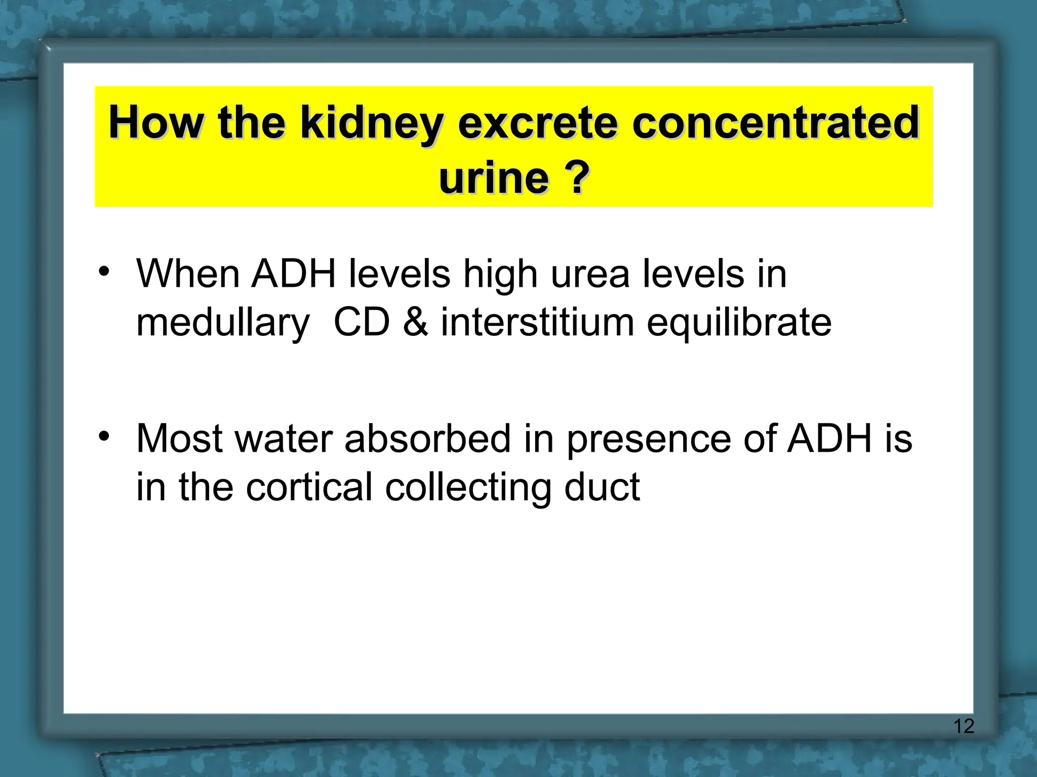 8- Urine concentration and dilution.ppt , zoology students, university ...