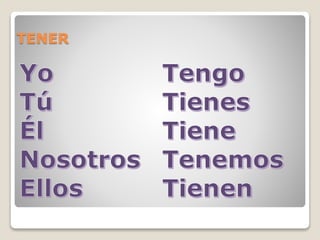 8 verbo tener | PPTX