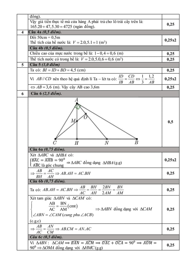 Đề Thi HK2 Toán 8 - Trung Học Thực Hành Sài Gòn | DOCX | Asia Travel | Travel Locations