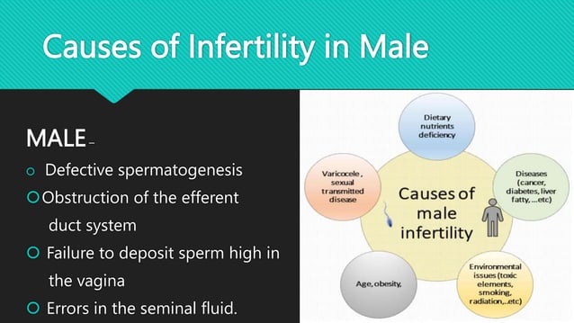 Infertility As Per Ayurved And Modern Science Pptx