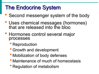 800234458-Endocrine-System new curriculum.ppt