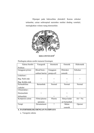 80051025 edema-serebri | PDF