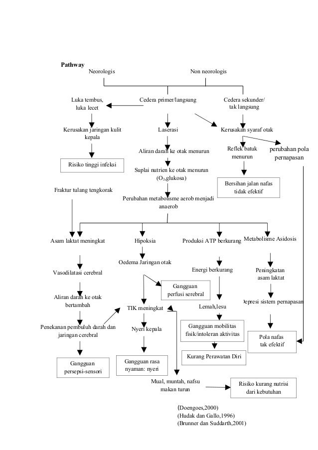 80051025 edema-serebri