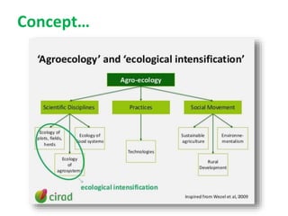 Agroecology | PPTX