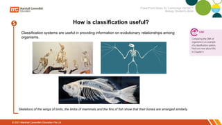 Comprehensive Guide to Characteristics and Classification of Living ...