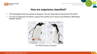 Comprehensive Guide to Characteristics and Classification of Living ...