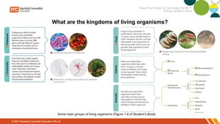 Comprehensive Guide to Characteristics and Classification of Living ...