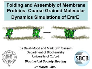 EmrE_biophysics_v5 | PPT