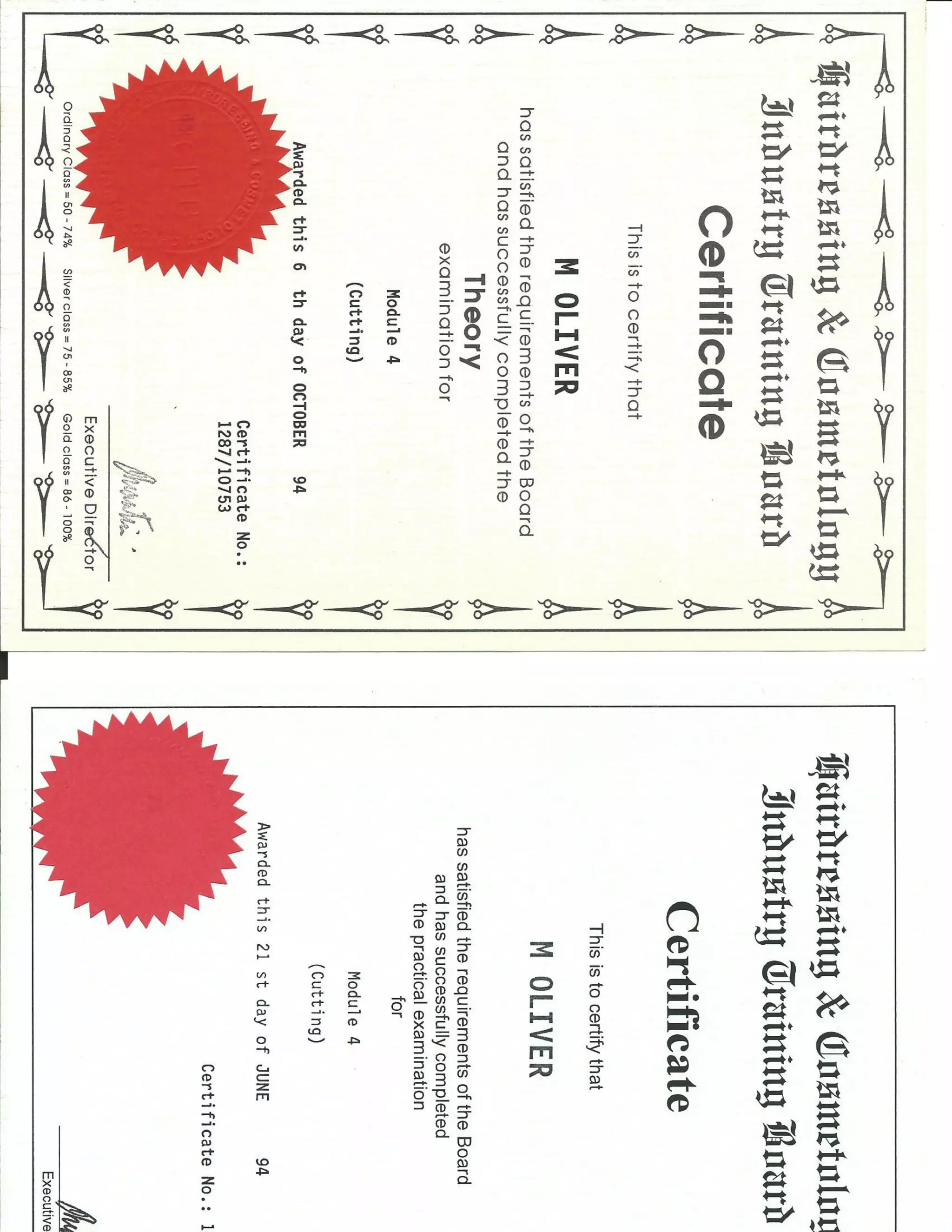 certificate -Cosmetology & Hairdressing | PDF
