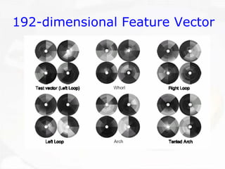 802 fp classification | PDF