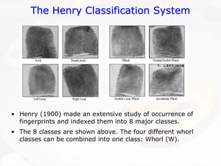 802 fp classification | PDF