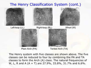 802 fp classification | PDF