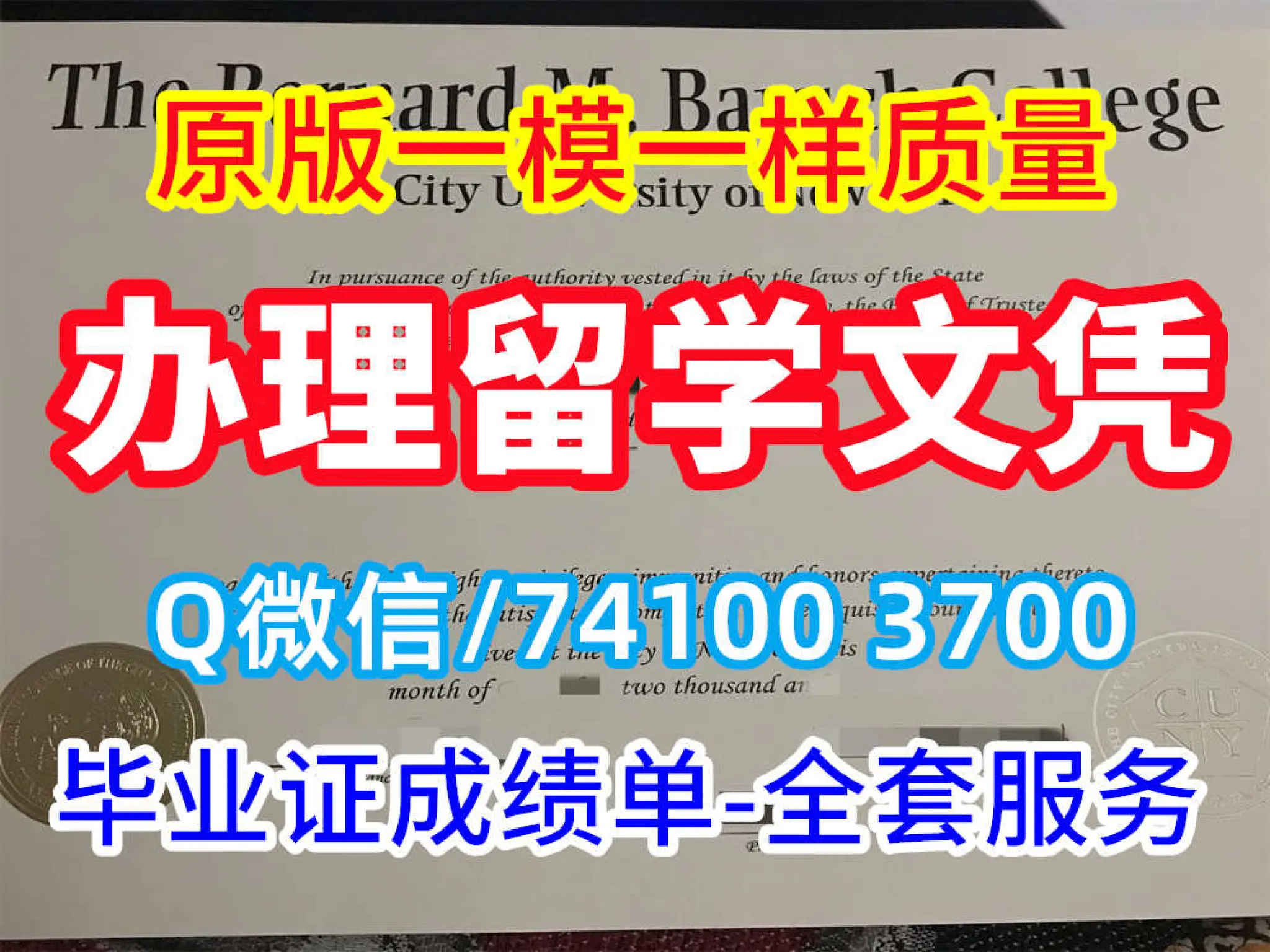 Pace Degree certificate | PDF