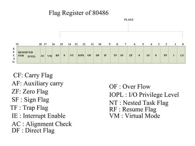 80486 microprocessor | PPT | Data Storage and Warehousing | Computing