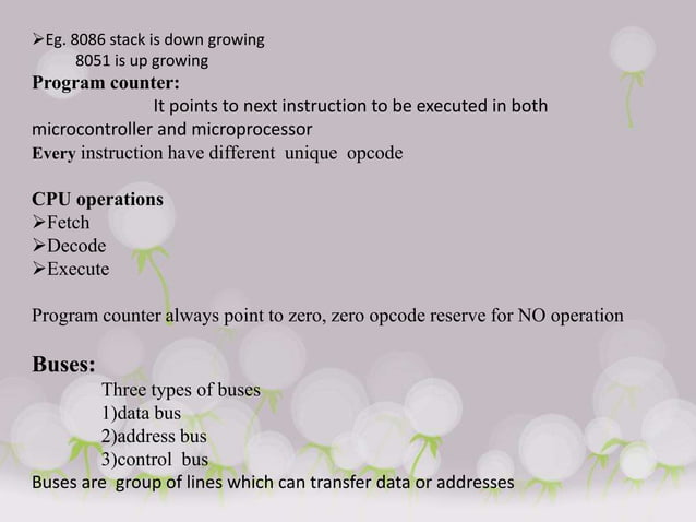 8051 presentation | PPT