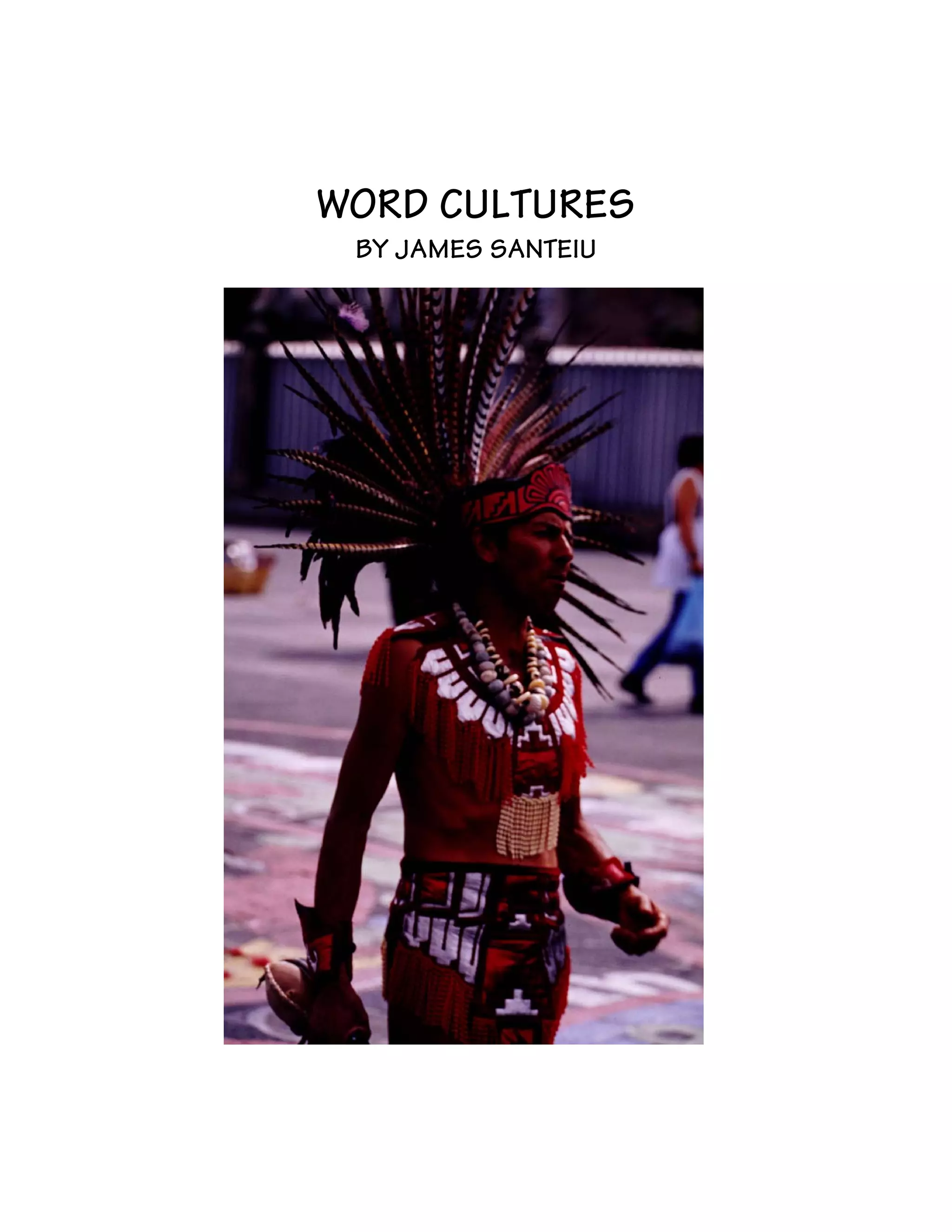 WORD CULTURES Lesson Plan | PDF