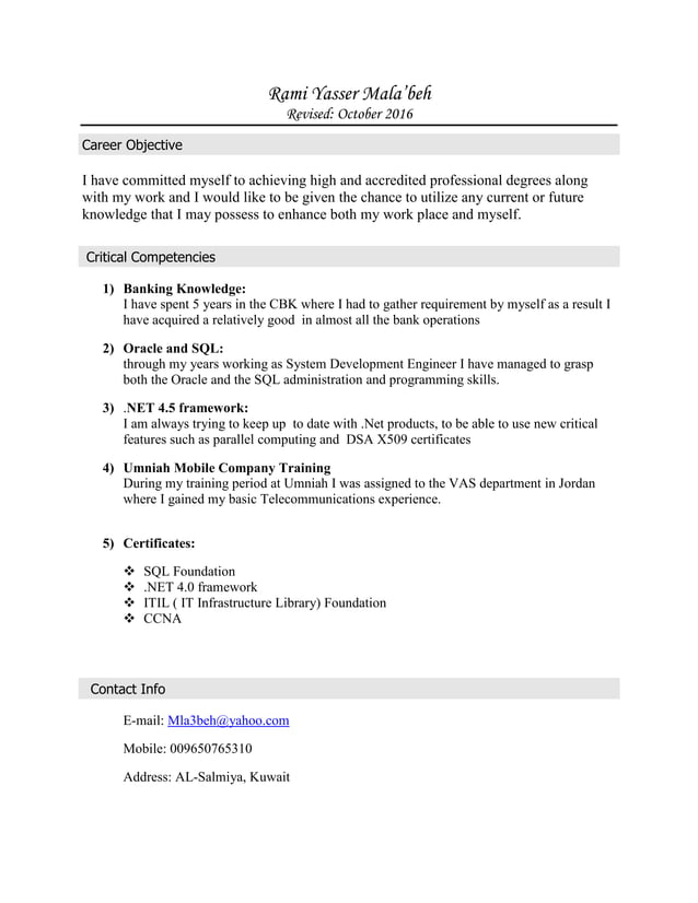 Rami Yasser C.V | PDF