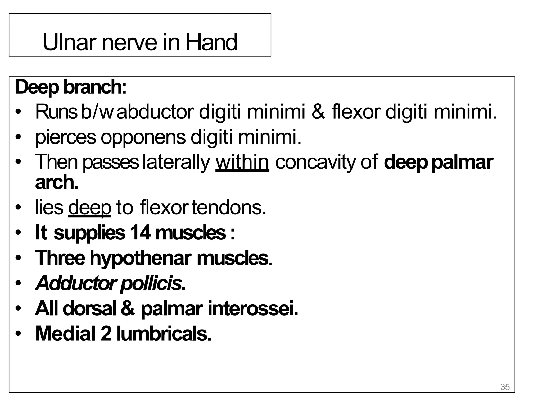 807_Ulnar-nerve-and-its-lesions.pptx