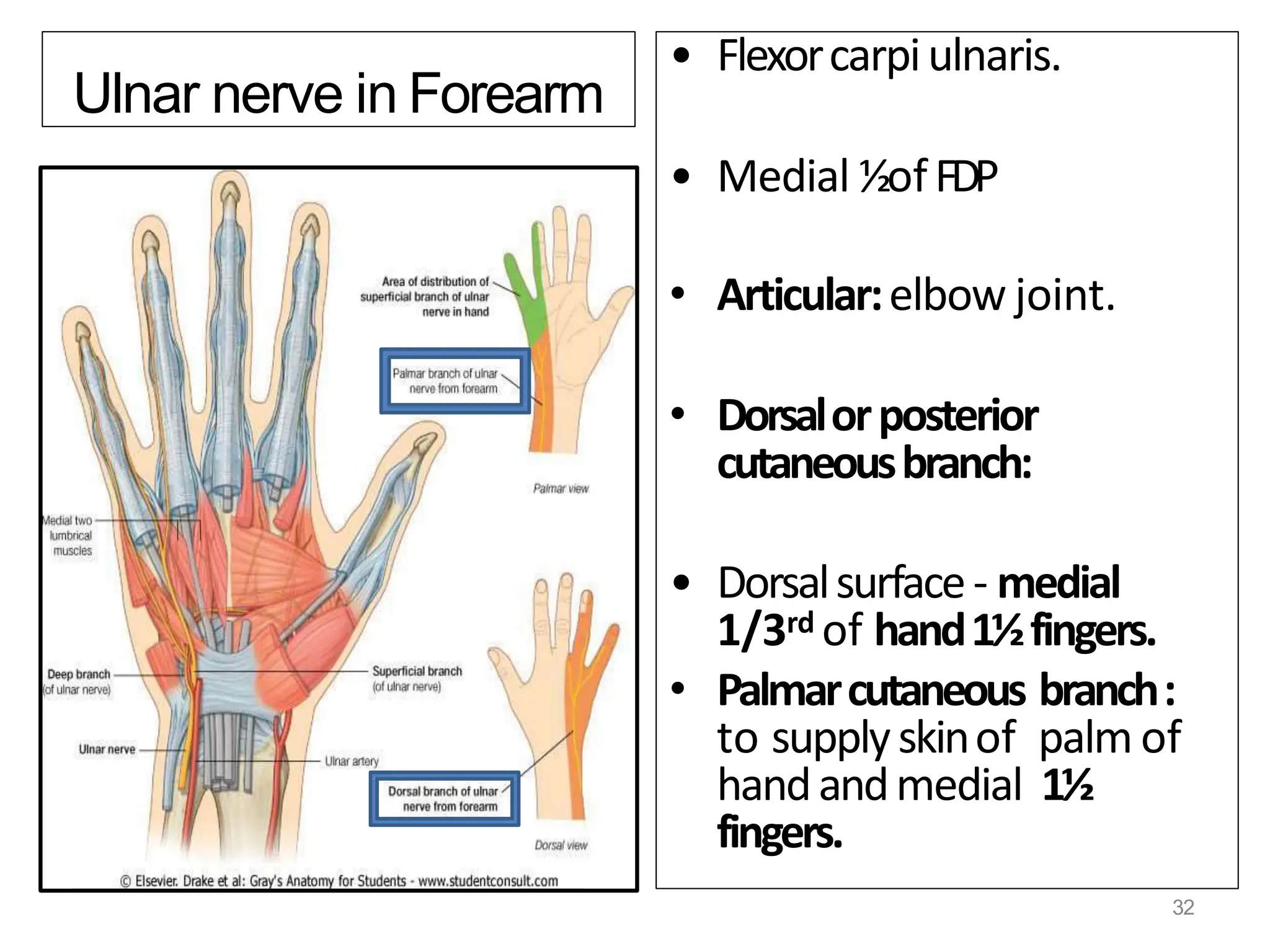 807_Ulnar-nerve-and-its-lesions.....pptx