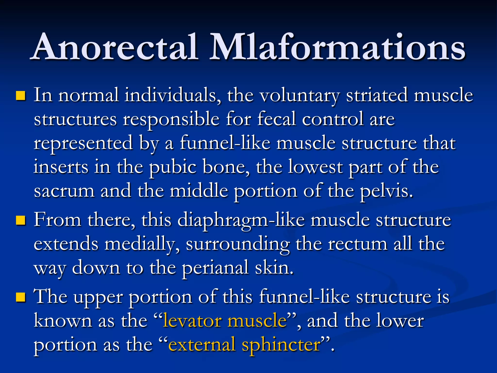 anorectal malformation | PDF