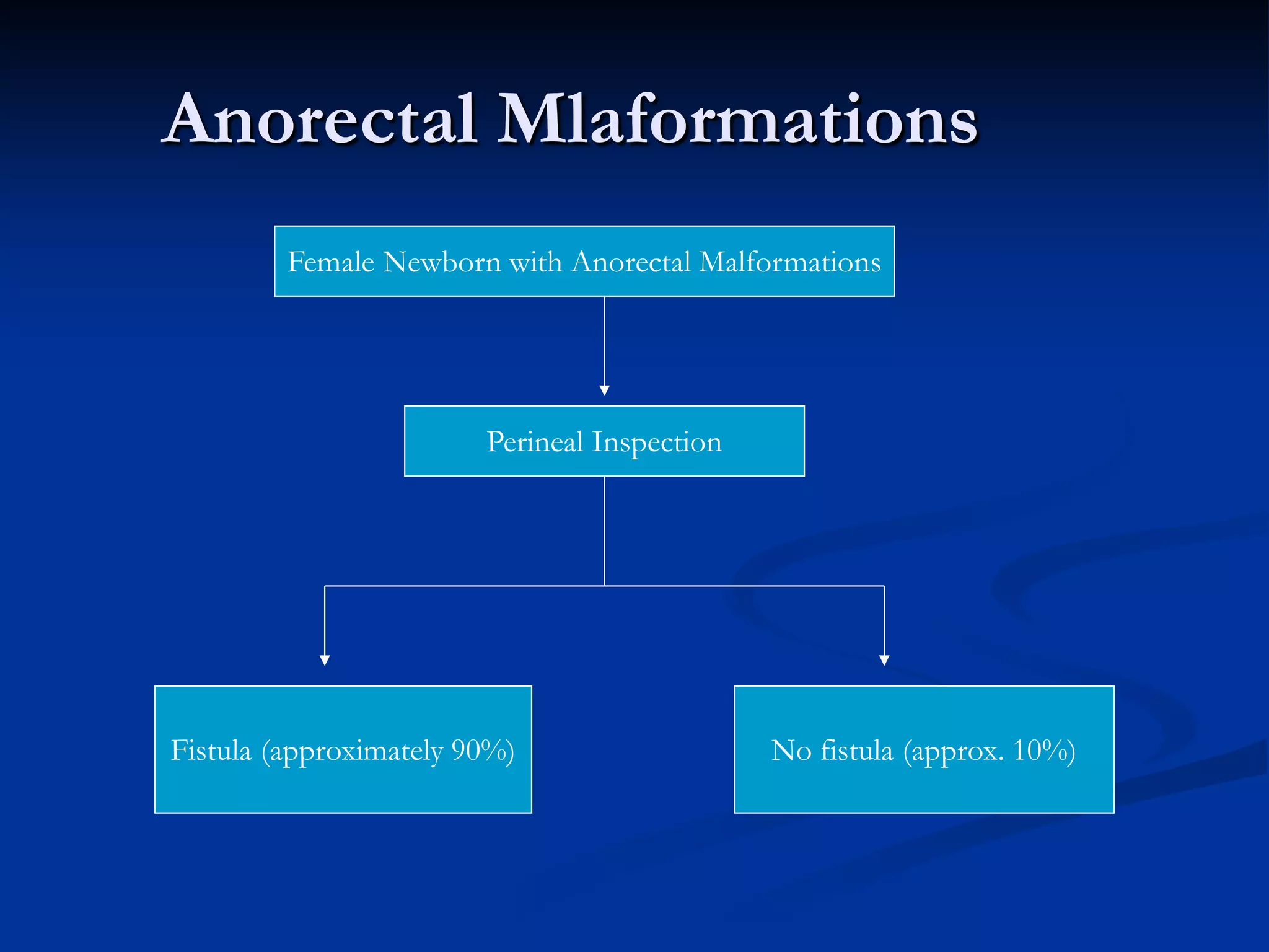 anorectal malformation | PDF