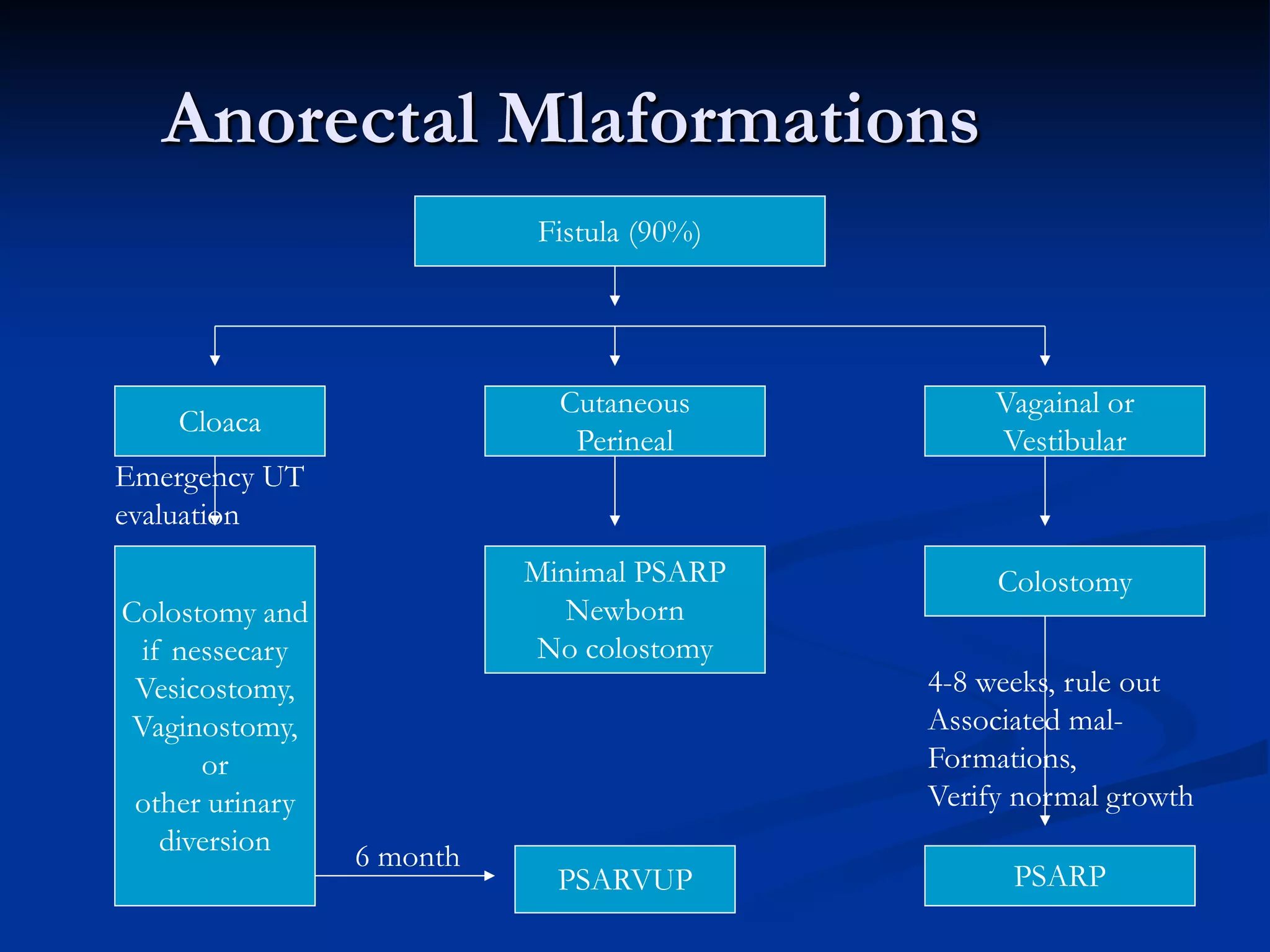 anorectal malformation | PDF