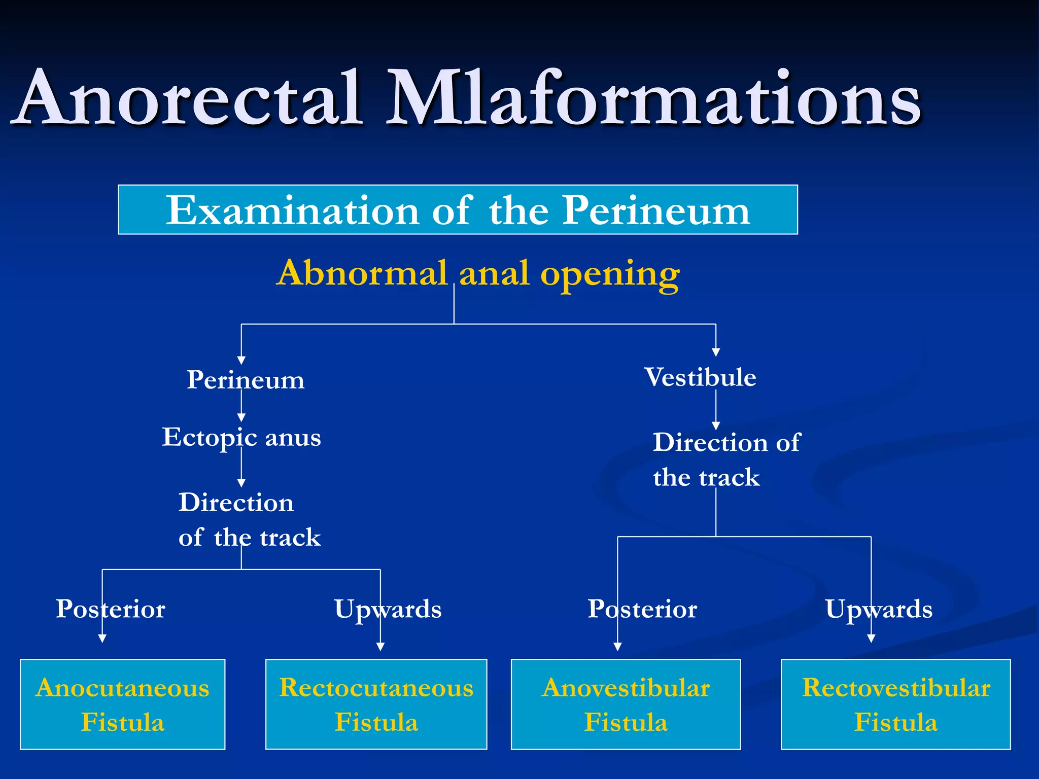 anorectal malformation | PDF