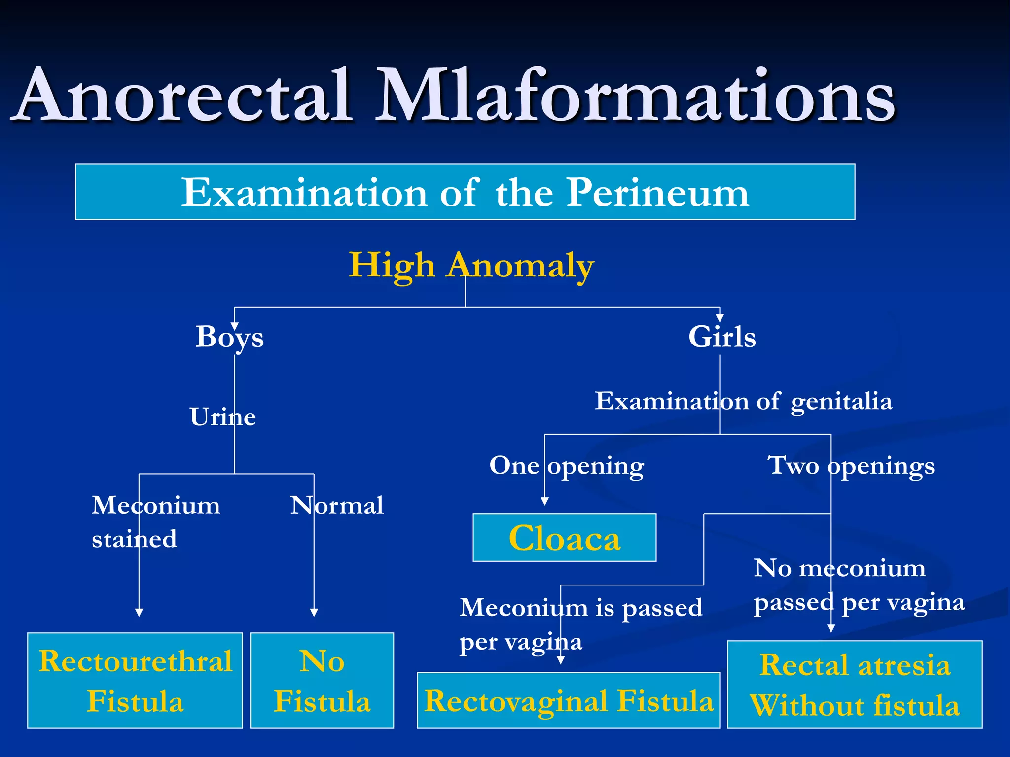 anorectal malformation | PDF