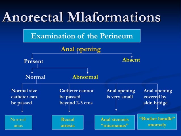 anorectal malformation | PDF