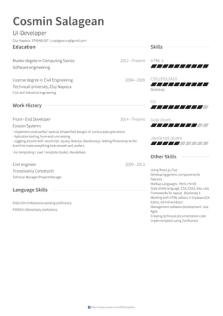 Cosmin_Salagean_cv_resume | PDF