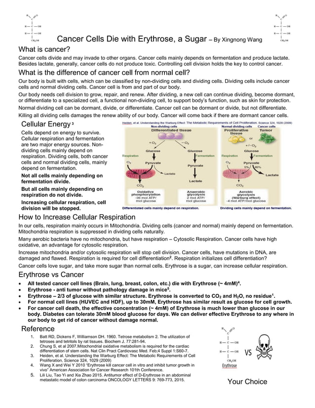 Cancer Cells Die with Erythrose | PDF