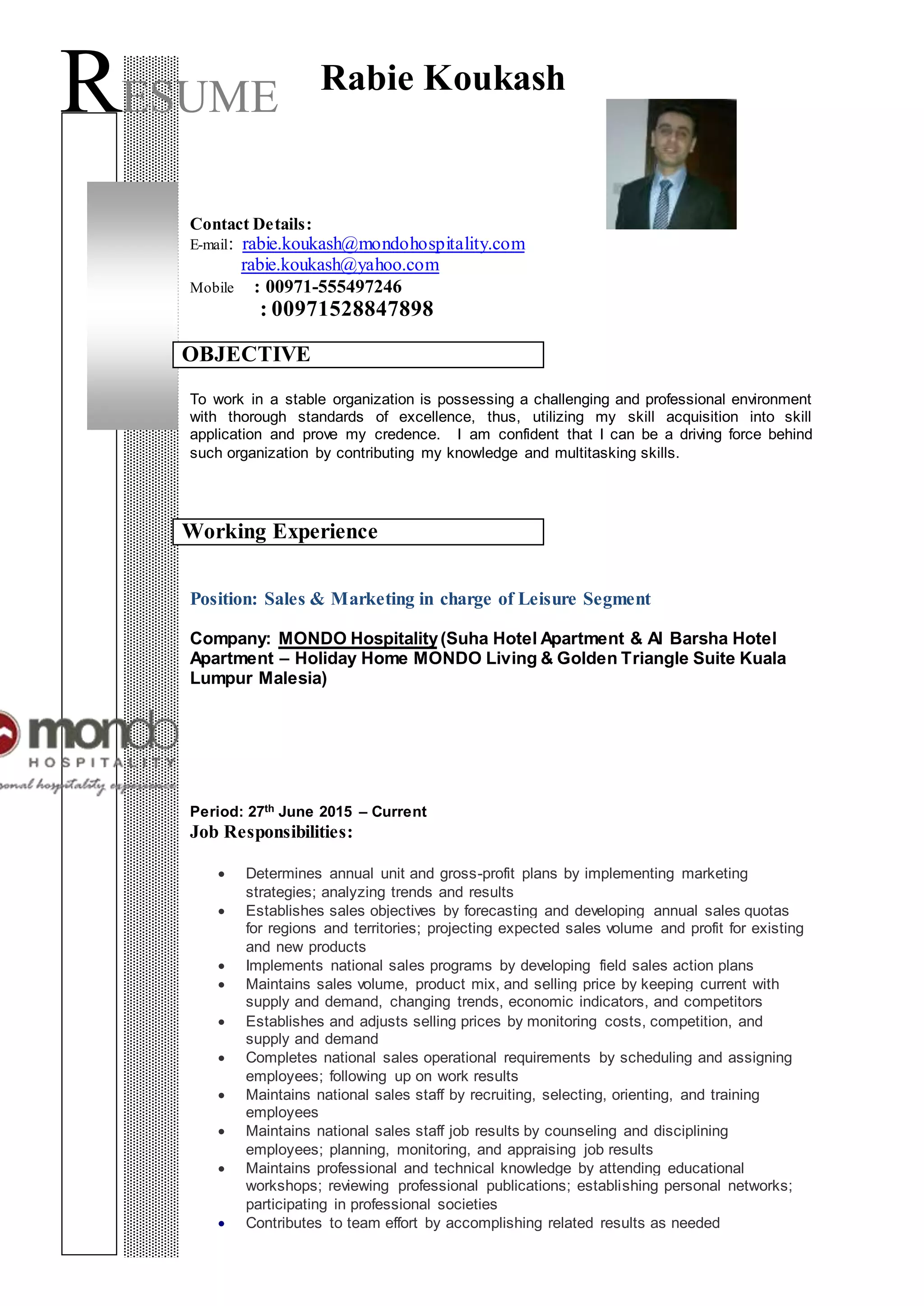 Rabie Updated CV | PDF