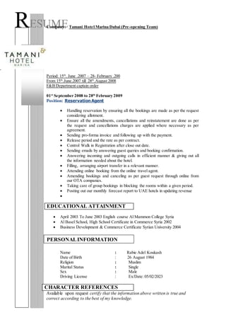 Rabie Updated CV | PDF